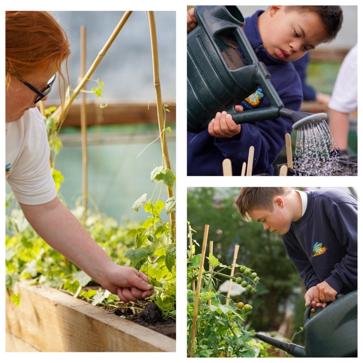 Pencalenick School - Pencalenick School and Tesco Stronger Starts